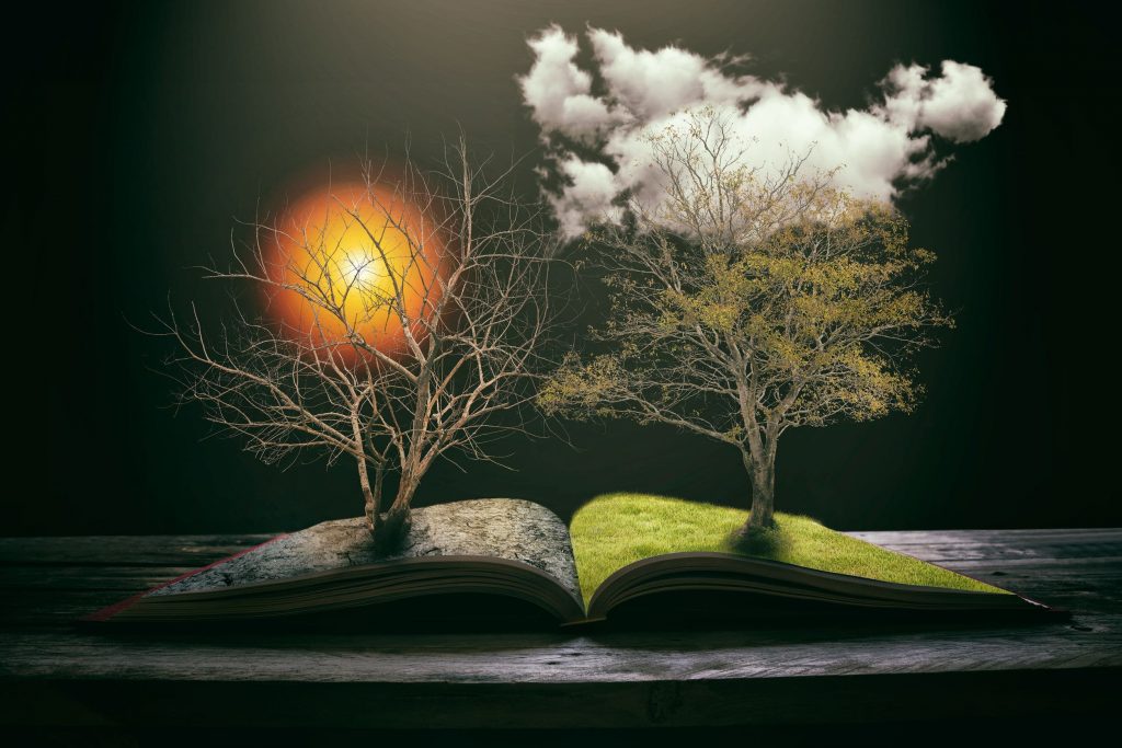 O PODER DA MENTE E NOSSA NEGLIGÊNCIA FRENTE A ALGO TÃO DIVINO DENTRO DE ...